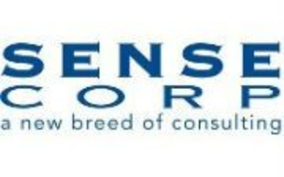 Management Consulting Services by Sense Corp in Houston, TX - Alignable