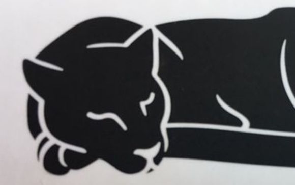 Anti Snoring Sleep Apnea Device by Panthera Dental in East Rutherford ...