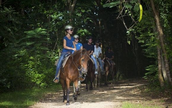 Online Travel Booking & Reservations by Campo Rico Adventures in ...