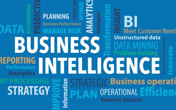 Business Insight Plan by Intelligent Dashboards in Houston, TX - Alignable