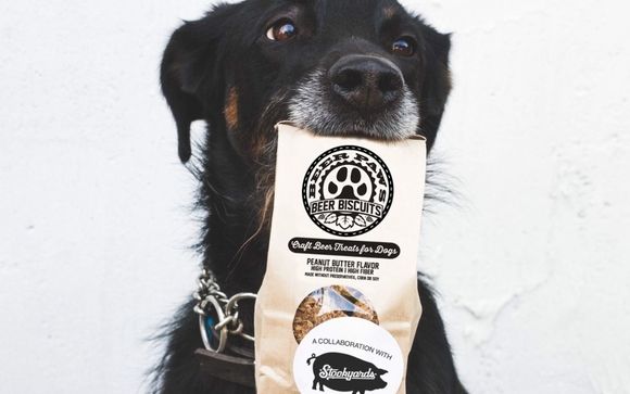 Beer Paws Beer for Dogs by Beer Paws in Kansas City, MO - Alignable