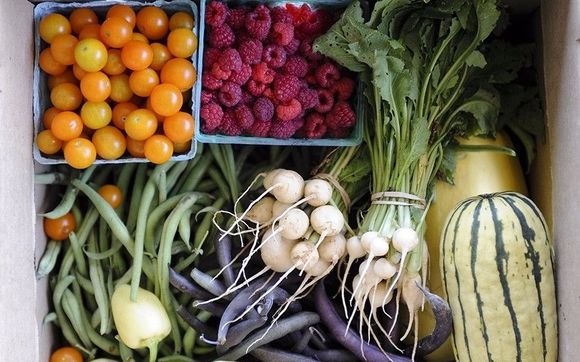 Miller's Bio Farm - Quarryville Area - Alignable