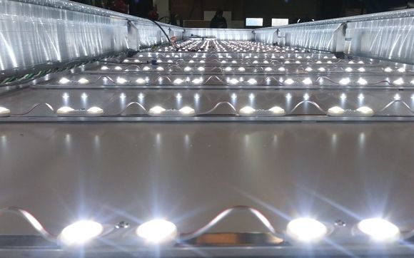 LED Illuminated Signs by Widmer Sign Co in Scranton, PA - Alignable