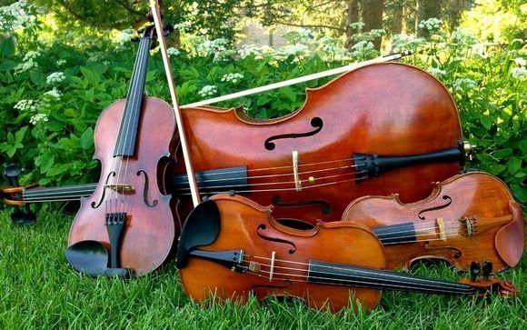 Violin & Cello by Sweetwater Strings in Phoenix, AZ - Alignable