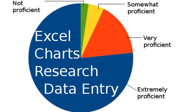 Data Entry Projects by Houston Virtual Assistant Service in Spring, TX ...