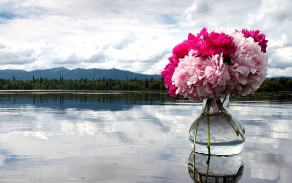 Alaska Grown Peonies by EagleSong Peony Farm in Anchorage, AK - Alignable