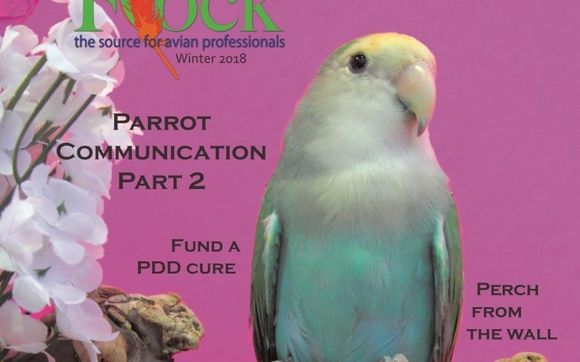 In Your Flock magazine - Beverly Hills Area - Alignable