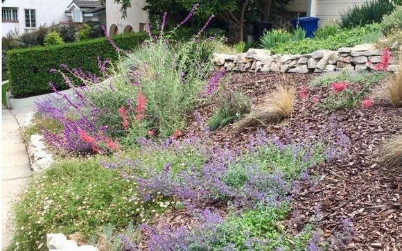 Landscape Design by Physis Design in Eugene, OR - Alignable