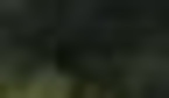 Single Upright Monuments by Cornerstone Dimensional Stone, LLC ...