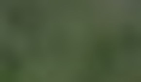 Estate Monuments by Cornerstone Dimensional Stone, LLC / Memorial ...