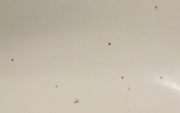 rust spots - freckles on floor by Joy of St. Croix - Tub Repair & More ...