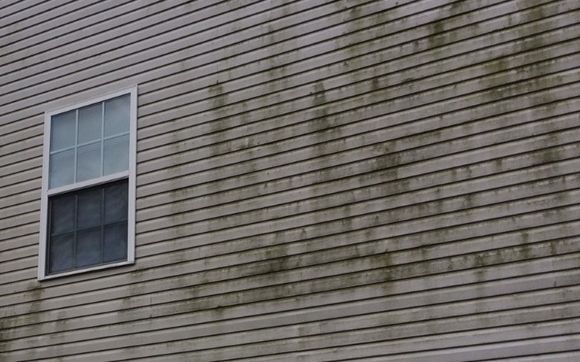 Siding soft washing by Hydro-Tech Power Washing and Soft Wash, LLC in West Chester, OH - Alignable