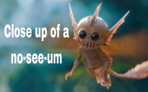 No-See-Um Treatments Now Available!!! by The Mosquito Authority Tampa ...