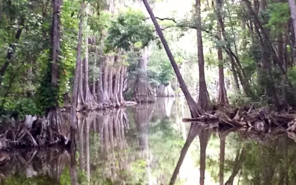 Dora Canal tour 2hrs departs at 10:am/12:30/3:pm by ...