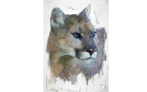 I make photographs of our wild brothers and sisters, occasionally ...