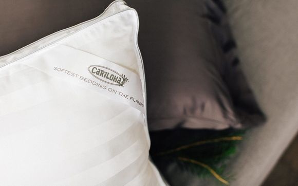 Bamboo Pillows by Cariloha Bamboo Naples in Naples, FL - Alignable
