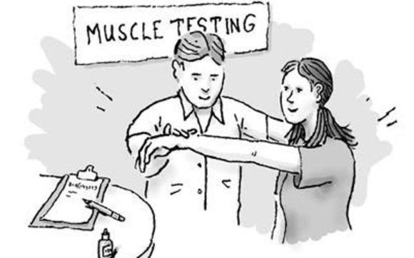 3 MFT Sessions (muscle response testing) Special $75 by Mindful Living ...