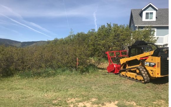 Scrub oak removal by Colorado Mastication/Fire mitigation in Larkspur ...