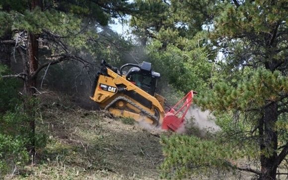 Brush clearance by Colorado Mastication/Fire mitigation in Larkspur, CO ...