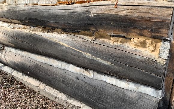 Rotted Log Replacement by Log Home Maintenance in Fairplay Area - Alignable