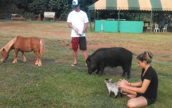 Animal Camp by Kauai Animal Education Farm in Kapaa, HI - Alignable