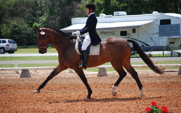 Dressage Instruction by Cindy Sydnor Dressage in Snow Camp Area - Alignable