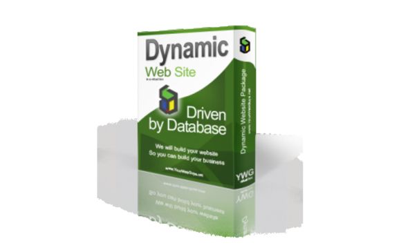 Dynamic Site Package by Your-Web-Guys in Dallas, TX - Alignable