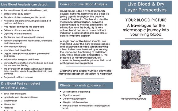 Live & Dry Blood Analysis by Live Blood Analysis in London, ON - Alignable