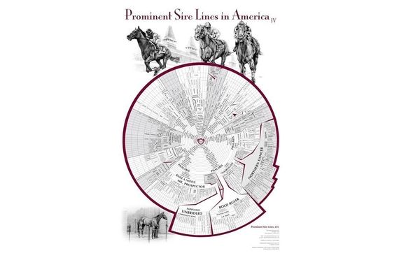 Prominent Sire Lines in America IV SKU by The Paddock Room Galleries in ...