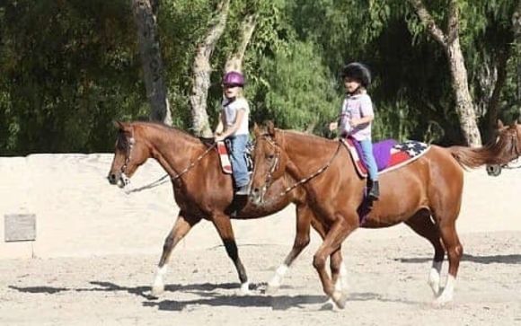 Horseback Riding Instruction by Santa Ynez Valley Horses - Nedra ...