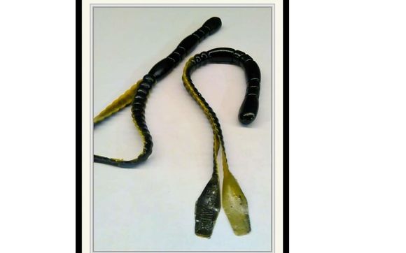 FLIPTAIL LURES 6" laminated lizards by Fliptail Lures in Clinton, AR ...
