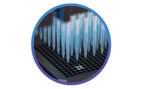 Membrane Proteome Array by Integral Molecular in Philadelphia, PA ...