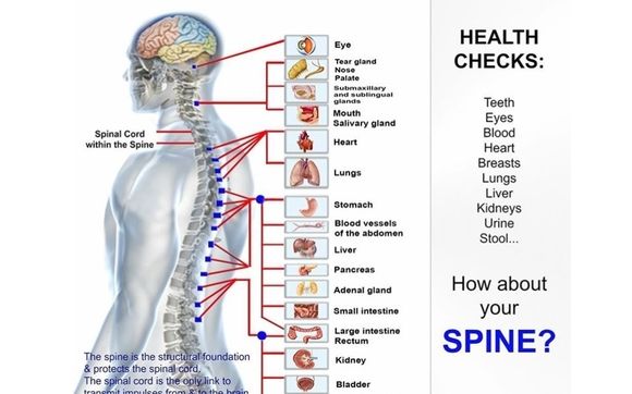 When your spine is in line, you’ll feel fine! by Chirofamilyhealth.com ...