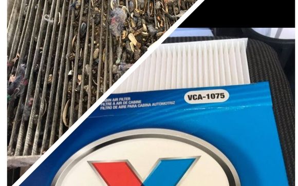 VPS Cooling System Flush by Valvoline Express Care in North Cowichan ...