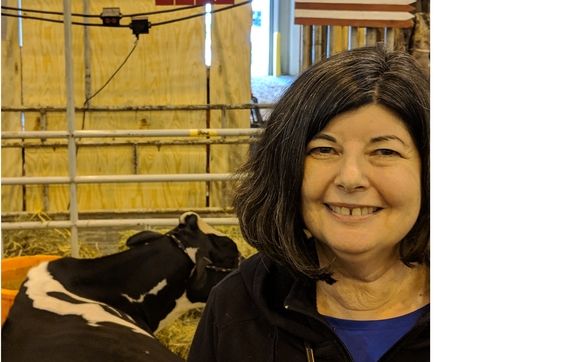 Reconnective Healing by Margot Weiss McClellan, LCSW in Beaver, PA ...