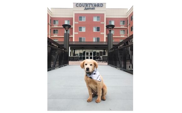 Courtyard by Marriott Rome Riverwalk - Rome, GA - Alignable