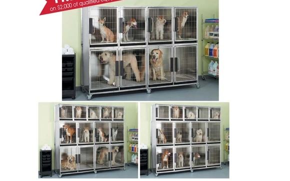 PROSELECT MODULAR KENNEL CAGES STAINLESS STEEL by Petedge in Beverly ... PROSELECT MODULAR KENNEL CAGES STAINLESS STEEL by Petedge in Beverly ...