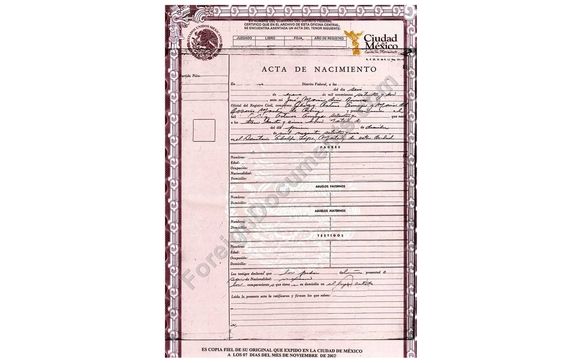 COMMON LAW UNION DECLARATION. Form IMM 5409 by Document Genie Ltd. in ...