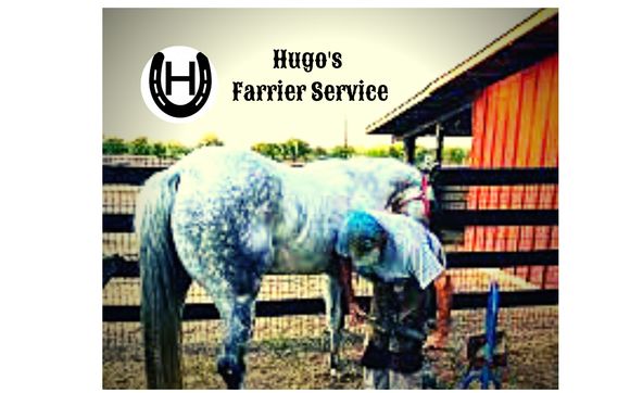 Hugo's Farrier Service, specializing in trims, basic shoeing, and ...