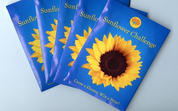 Sunflower Challenge by Earth's Birthday in Santa Fe, NM - Alignable