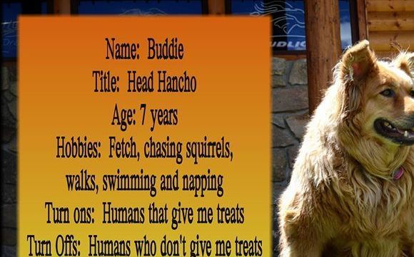 Backstreet Steak House by Daven Haven Backstreet Steakhouse in Grand ...