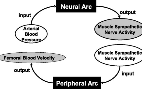 Neural Reset Therapy by Truly Mobile Massage in Cedar Rapids, IA - Alignable