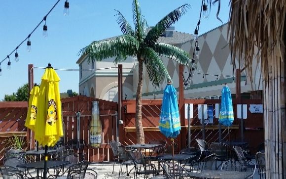 Custom Made Palm Trees, LLC - Akron, OH - Alignable