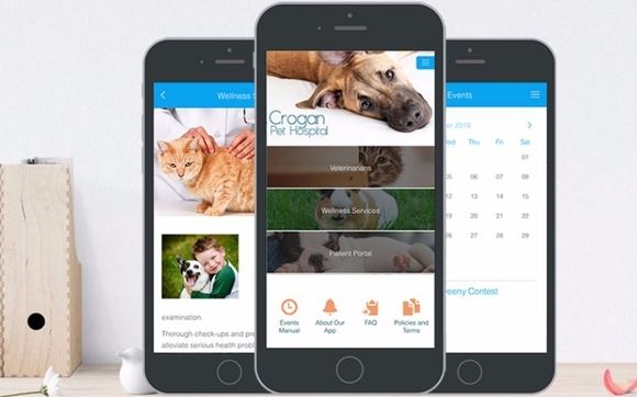 Pet Health ID Cards by VetScene in Lawrenceville, GA - Alignable