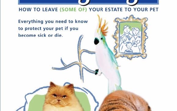 Barry Seltzer, Barrister & Solicitor - Richmond Hill - Alignable