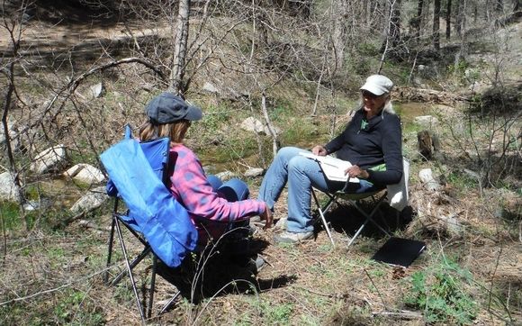 #1 Awareness with Nature Package (3 Coaching Sessions Outdoors), to ...