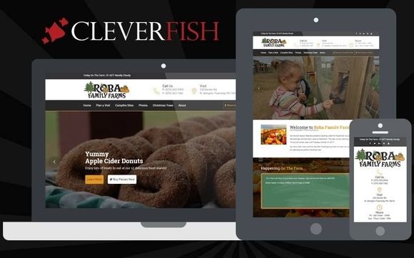 Cleverfish - Clarks Summit, PA - Alignable