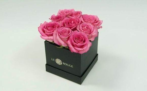 House Plants by Le Rouge Fleuriste et Cadeaux in Montreal, QC - Alignable