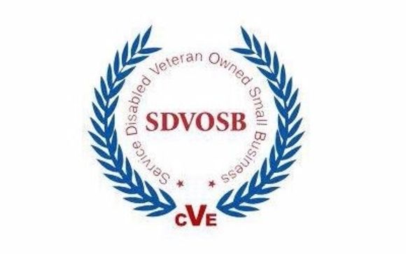SDVOSB CVE Certification (Service Disabled Veteran Owned Small Business ...
