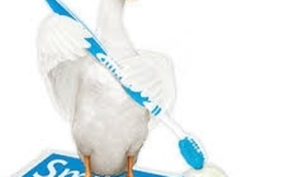 Vision Coverage by Aflac of the Low Country in Charleston, SC - Alignable